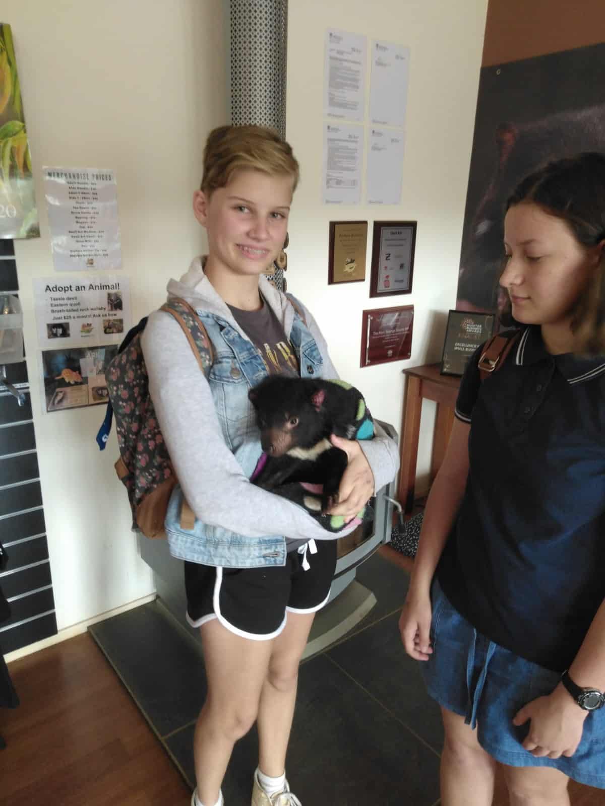 Visiting Tasmanian devils at Devil Ark - Success Tax Professionals