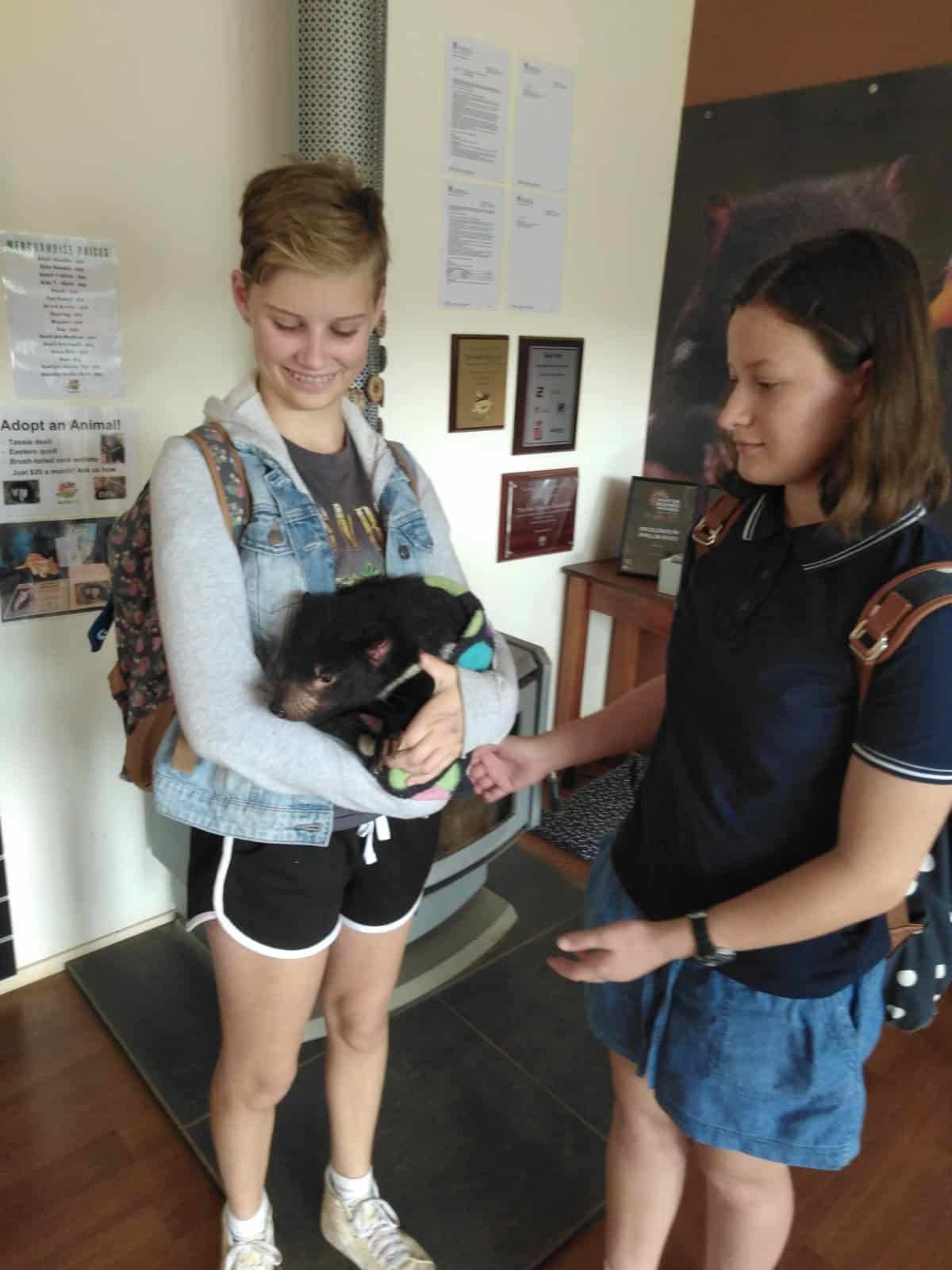 Visiting Tasmanian devils at Devil Ark - Success Tax Professionals